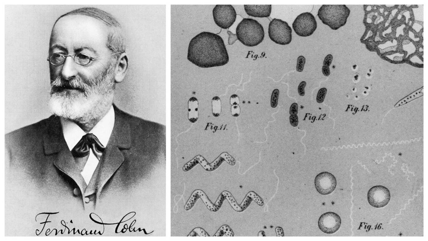 Wybitni polscy naukowcy, wynalazcy którzy zmienili świat - czy znasz ...